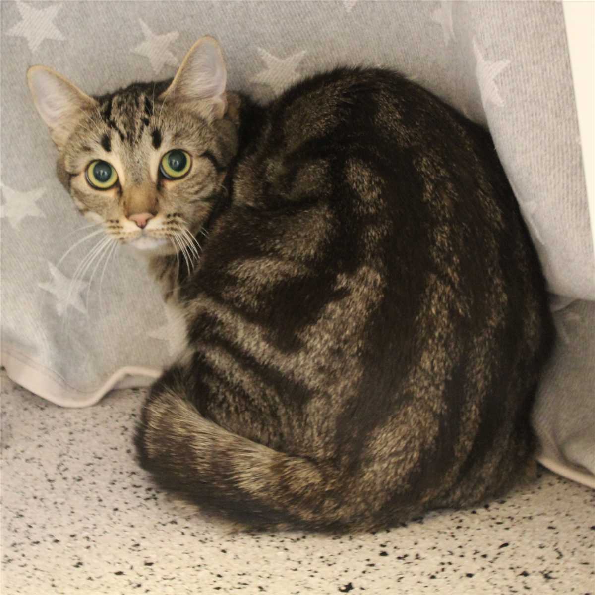 PABLO | Tierschutzverein München